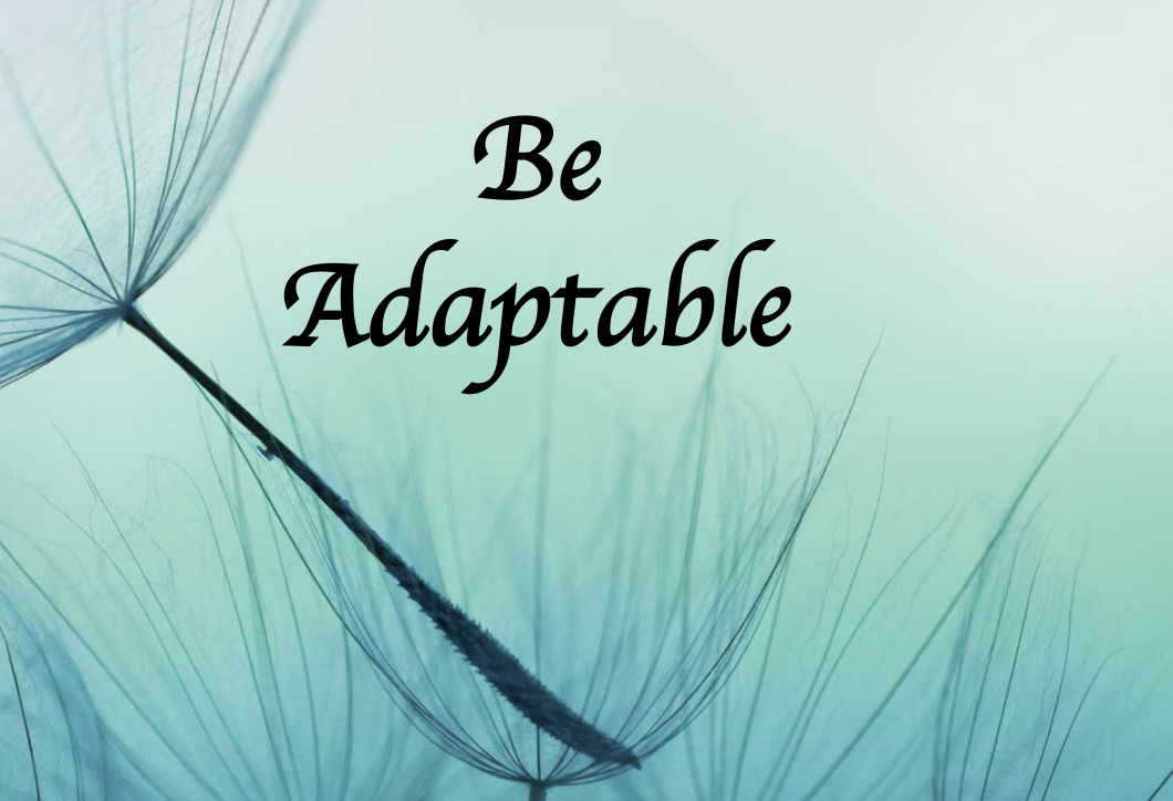 Be Adaptable - Blog BNI